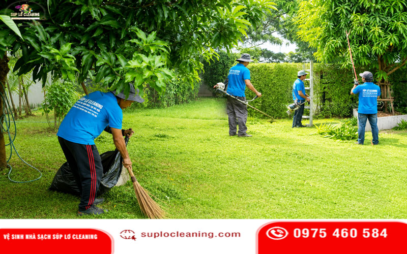 Dịch vụ cắt cỏ sân vườn tại Hà Nội chuyên nghiệp