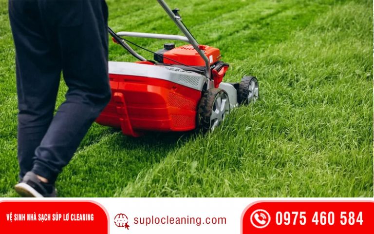 Dịch vụ cắt cỏ sân vườn tại Hà Nội chuyên nghiệp
